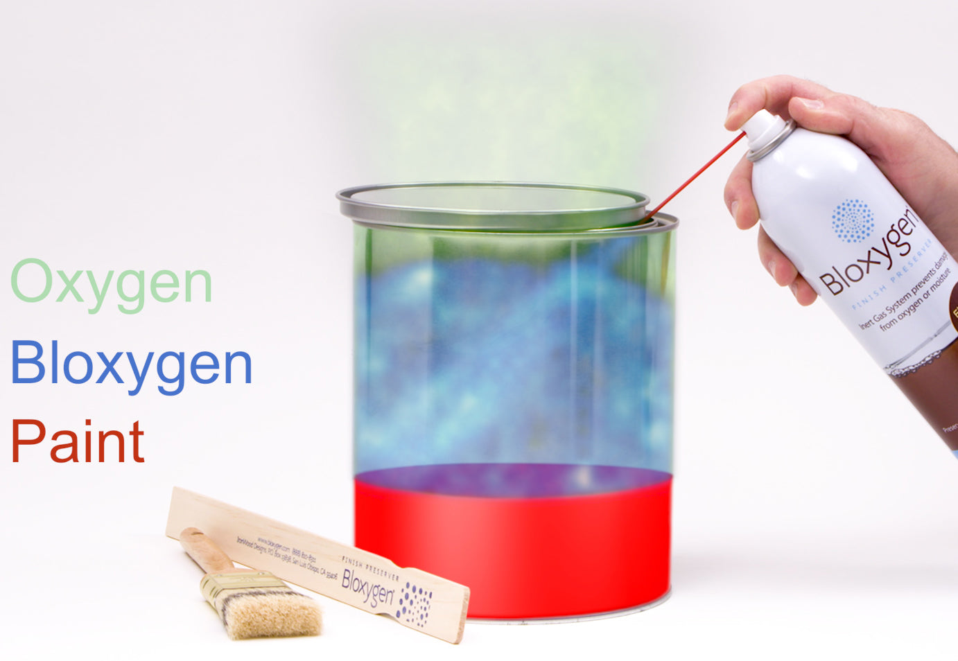 Frequently Asked - Bloxygen